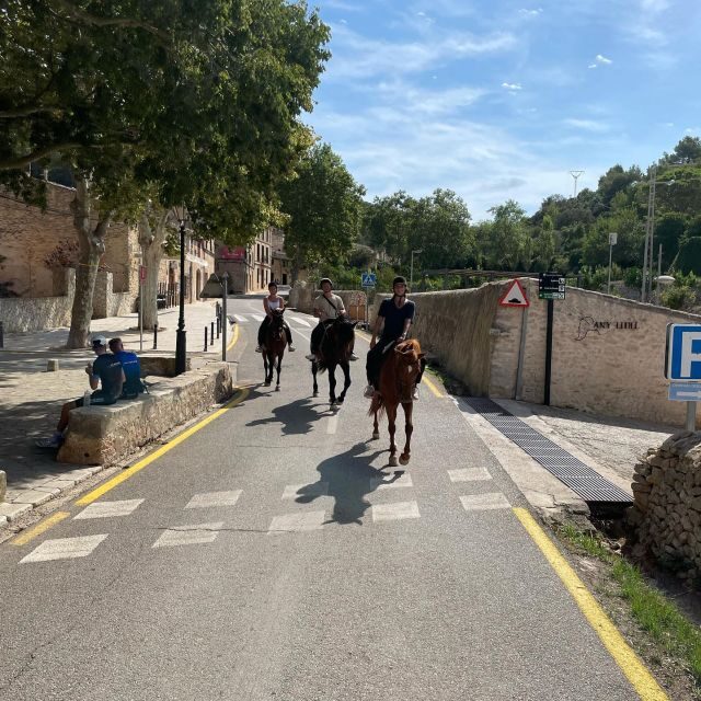 Mallorca: Activity with Horses, Antique Mallorca - Insights from Reviews
