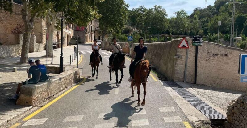 Mallorca: Activity with Horses, Antique Mallorca - Price Analysis and Value