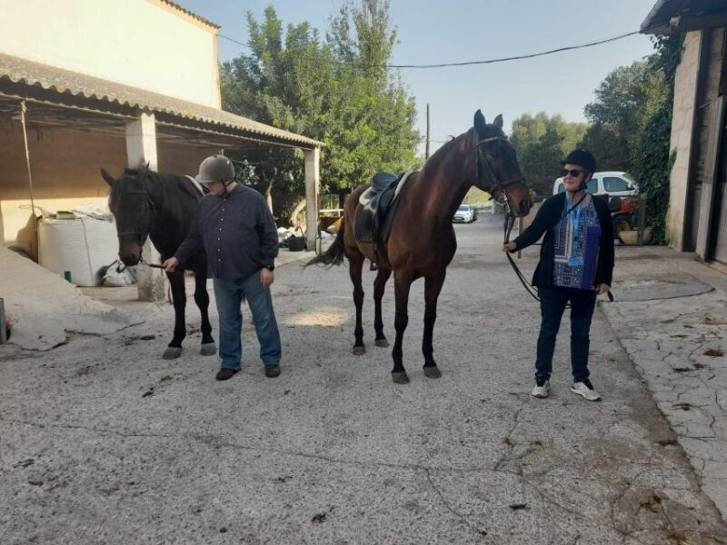 Mallorca: Activity with Horses, Antique Mallorca - Who Will Love This Tour?