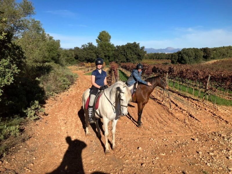 Mallorca: Activity with Horses, Antique Mallorca - Practical Details