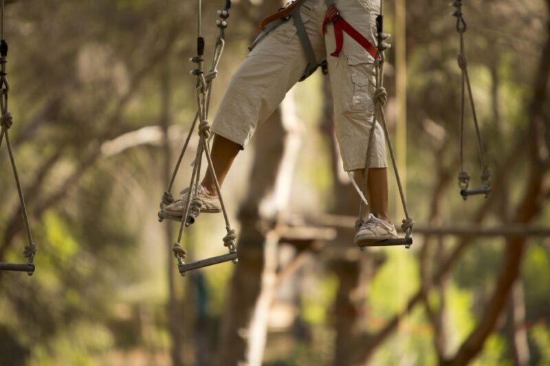 Mallorca: Adrenaline Tree Top Adventure Entry Ticket - What Makes This Tour Stand Out?