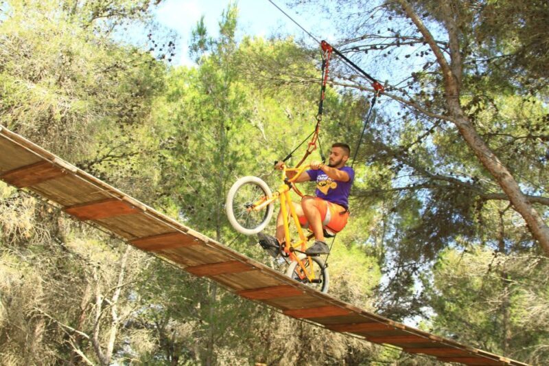 Mallorca: Adrenaline Tree Top Adventure Entry Ticket - How About the Location and Practical Aspects?