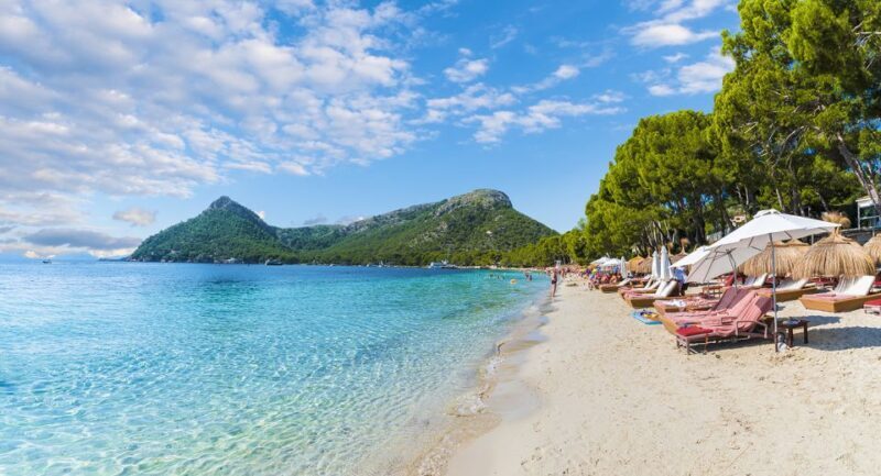 Mallorca: Alcudia Old Town, Market, and Formentor Beach - Final Thoughts: Who Will Love This Tour?