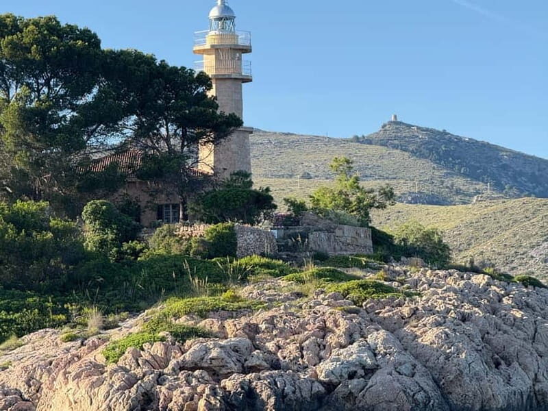 Mallorca: Alcudia, Private Boat Tour to Formentor & Pollensa - FAQs