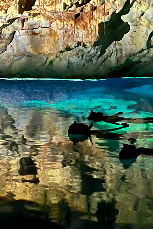 Mallorca: Aquatic Cave Exploration Guided Tour (2 languages) - Price and Value