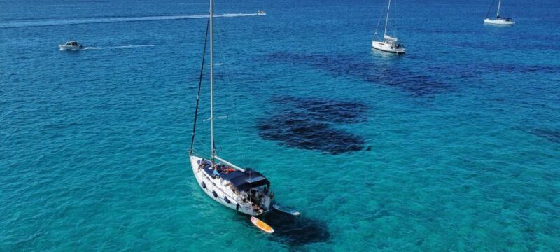 Mallorca Boat Tour with Swim, Cliff Food, & Drinks - The Sum Up