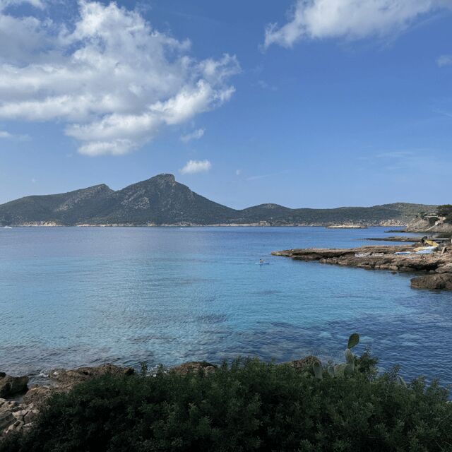 Mallorca: Boat Transfer between Port Andratx and Sant Elm - What Travelers Say: Authentic Feedback