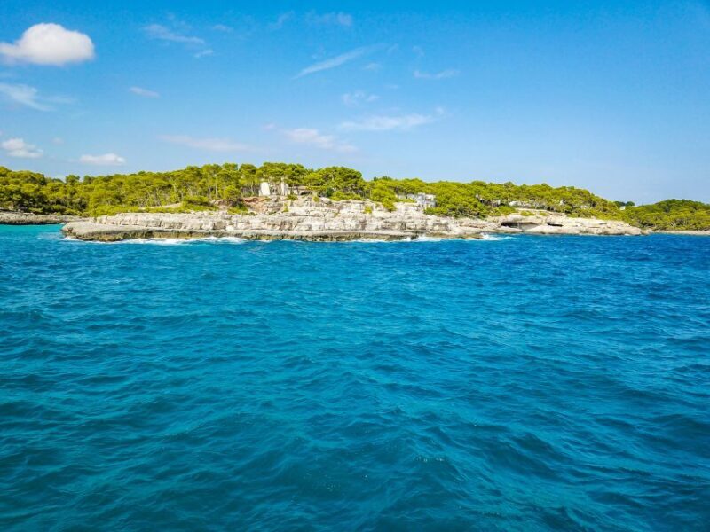 Mallorca: Cala Mondragó Natural Park Jetski Tour - An Adventurous Ride with Magnificent Coastline Views