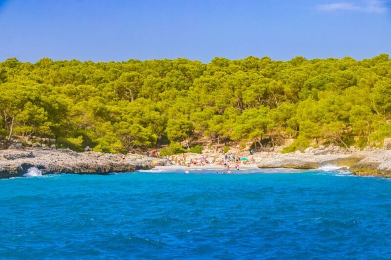 Mallorca: Cala Mondragó Natural Park Jetski Tour - The Logistics: What’s Included and What’s Not