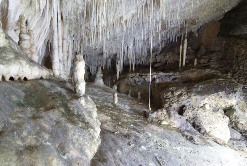 Mallorca: Campanet Caves Entry Ticket - An Introduction to the Campanet Caves Adventure