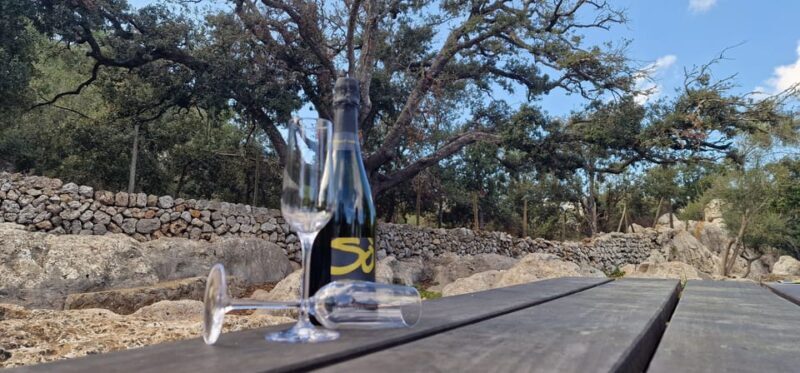 Mallorca: Cap & Cava - Minibus Tour to Formentor - GERMAN - Discover Mallorca in Depth: What to Expect