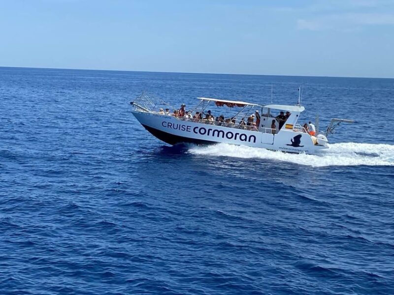 Mallorca: Caves, Cliffs, and Coves Boat Trip - A Closer Look at the Experience