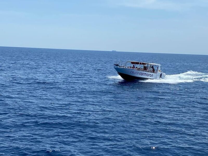 Mallorca: Caves, Cliffs, and Coves Boat Trip - FAQs
