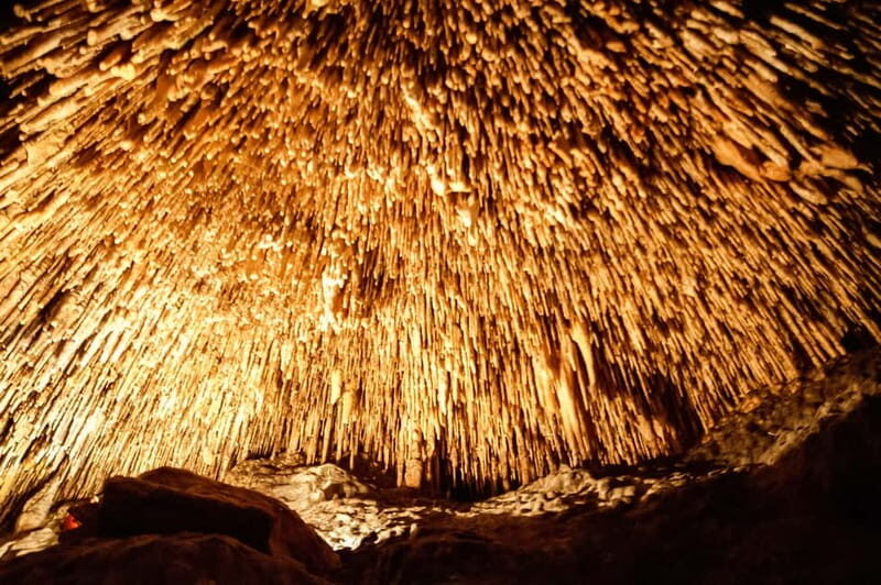 Mallorca: Caves of Drach Tour from the North with Boat Trip - What the Tour Includes and What to Expect