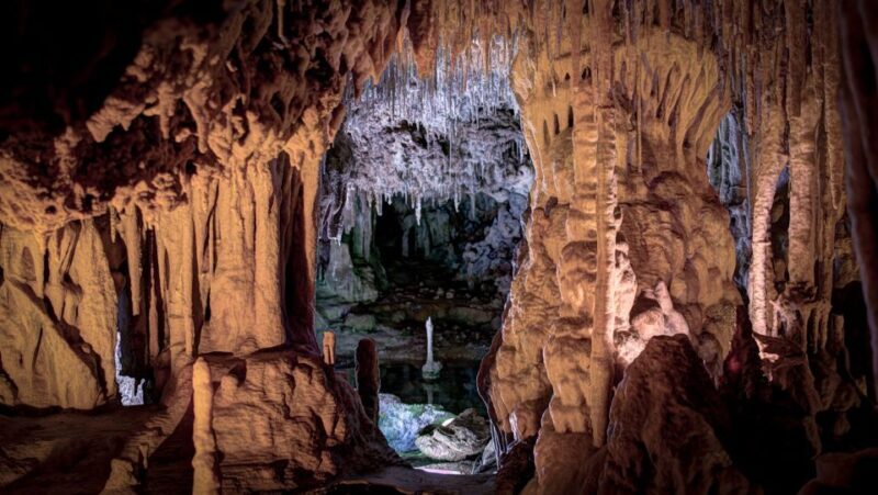 Mallorca: Caves of Hams and Dinosaurland Ticket with Pickup - Dinosaur Land: Fun and Education