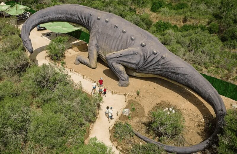 Mallorca: Caves of Hams and Dinosaurland Ticket with Pickup - The Return Journey