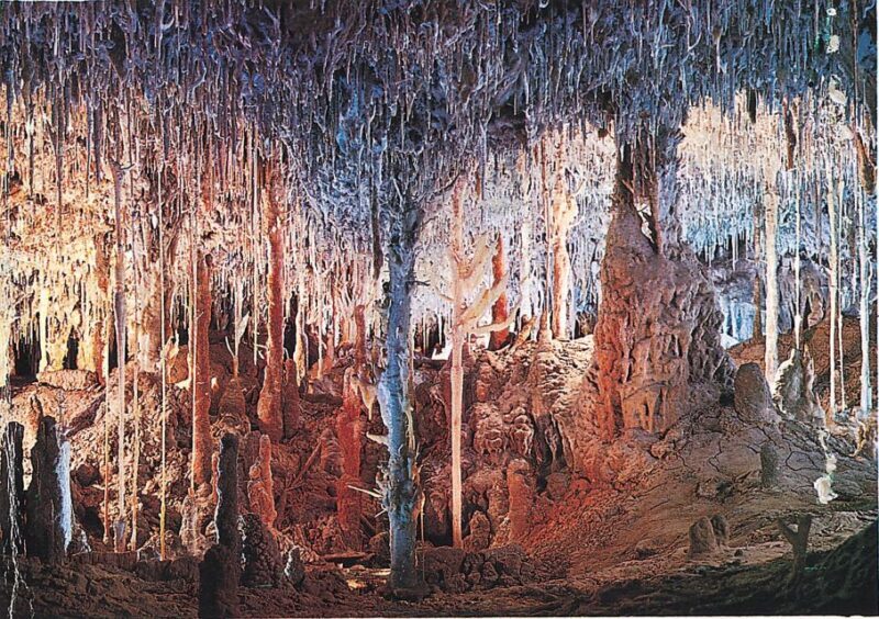 Mallorca: Caves of Hams, Blue Cave and audiovisual - Who Should Consider This Tour?