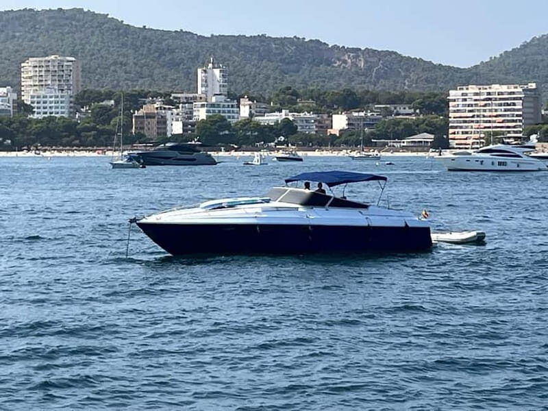 Mallorca: Charming boat ride with tapas and Mallorcan wines - The Sum Up: The Perfect Mix of Scenic & Social
