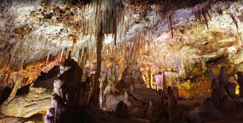 Mallorca: Day Trip to Caves of Hams & Optional Dinosaurland - Frequently Asked Questions