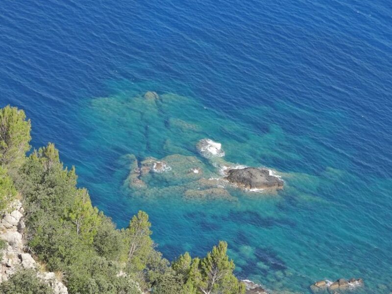 Mallorca: Day Trip to Hidden Gems of Tramuntana with Lunch - Who Should Consider This Tour?
