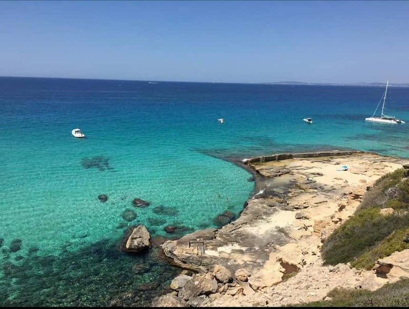 Mallorca: Discover paradisiacal coves on board of an exclusive catamaran - Practical Tips for Booking and Enjoyment