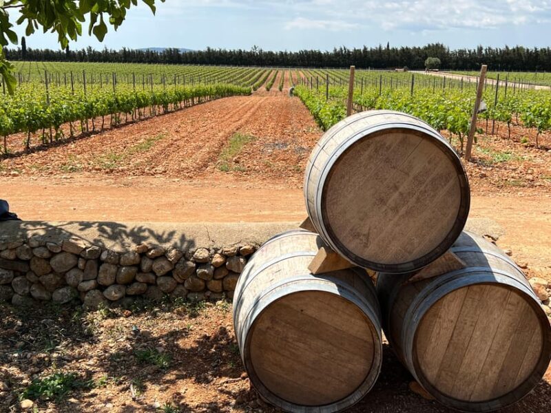 Mallorca: Discover the secret treasures of the local wine - An Authentic Taste of Mallorca’s Wine Heritage