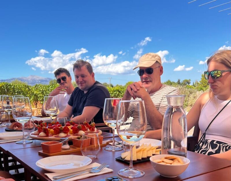 Mallorca: Discover the secret treasures of the local wine - Who Should Consider This Tour?