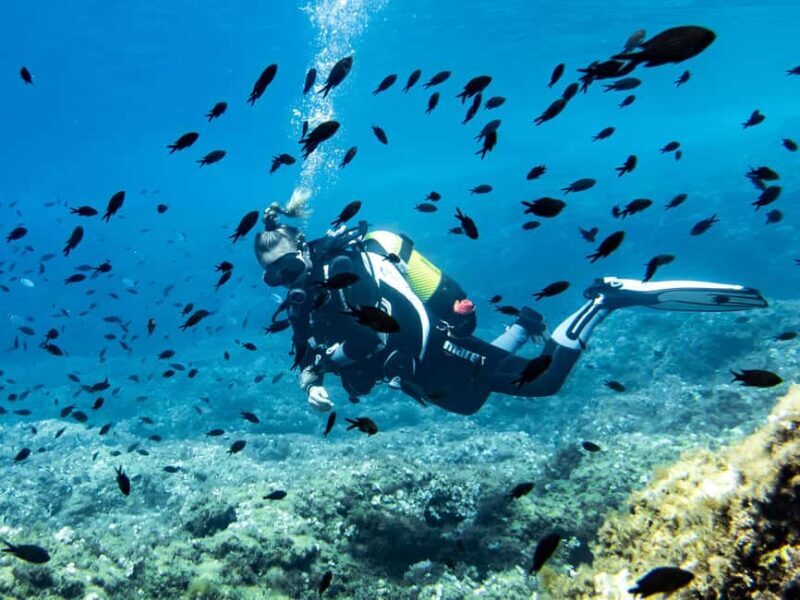 Mallorca: Diving without a license with an instructor from a boat - Cap de Formentor - Key Points
