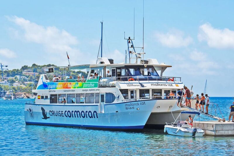 Mallorca: Dolphin Watching Cruise - Key Points