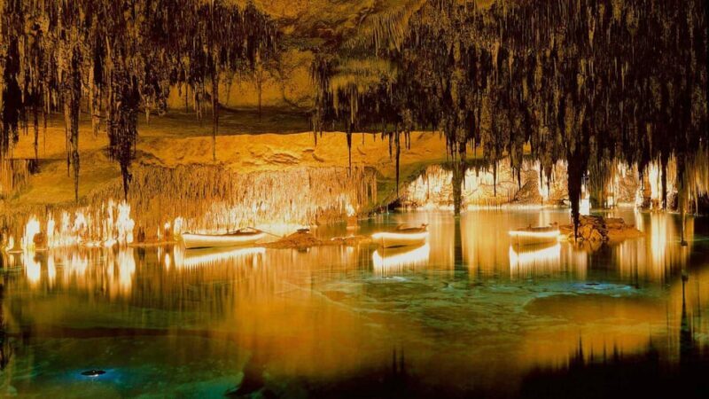 Mallorca: Drach and Hams Caves, and Porto Cristo Day Tour - Key Points