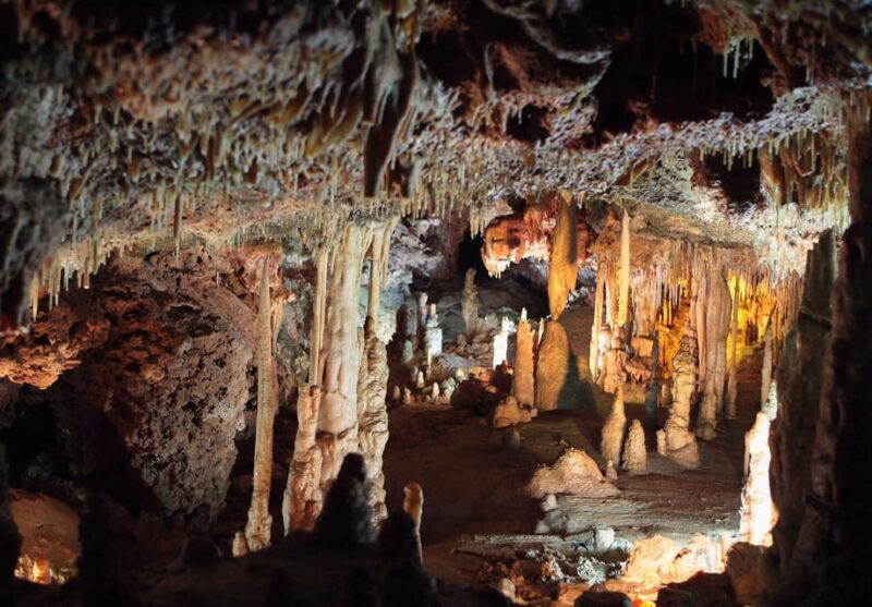 Mallorca: Drach and Hams Caves, and Porto Cristo Day Tour - Transportation and Comfort