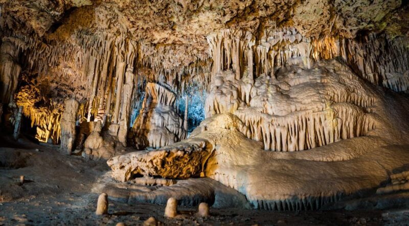 Mallorca: Drach and Hams Caves, and Porto Cristo Day Tour - Who Will Love This Tour?