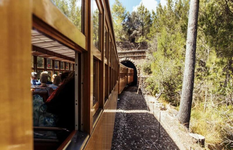 Mallorca: Exclusive Soller Train and Tram Half-Day Tour - Introduction: What to Expect from this Soller and Port de Soller Tour