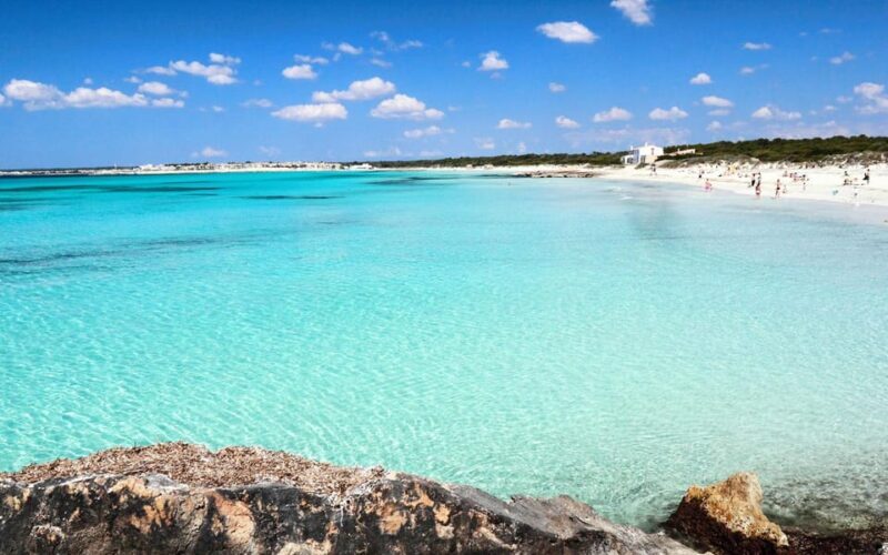Mallorca Experinence: Es Trenc con Paddlesurf y Snorkel - Key Points