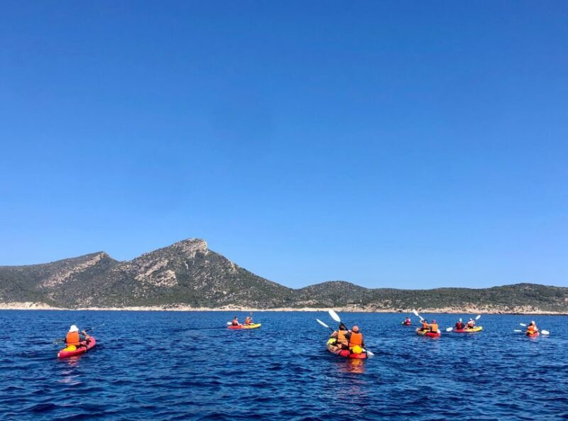 Mallorca: Explore the Island Dragonera with the kayak - Who Should Consider This Tour?