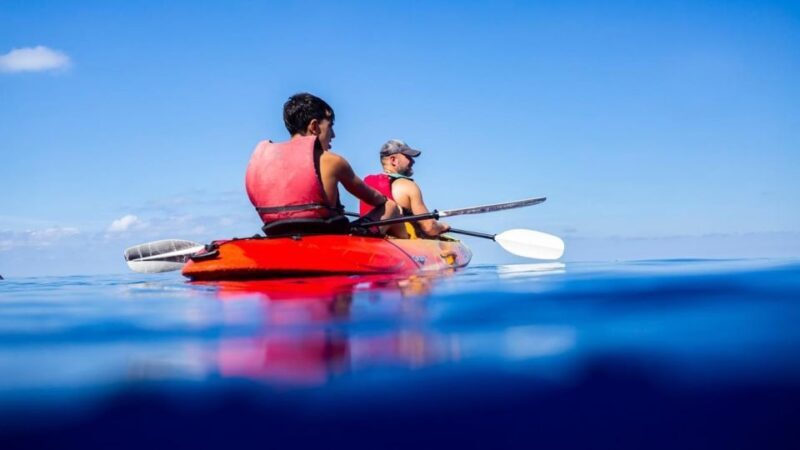 Mallorca: Explore the Island Dragonera with the kayak - The Sum Up