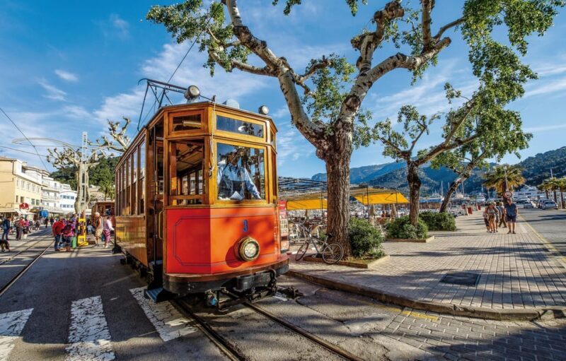 Mallorca: Full-Day Island Tour by Train, Tram, and Boat - What Travelers Say