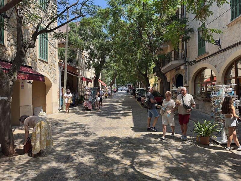 Mallorca: Full-Day Scenic Villages Tour with local Lunch - Key Points