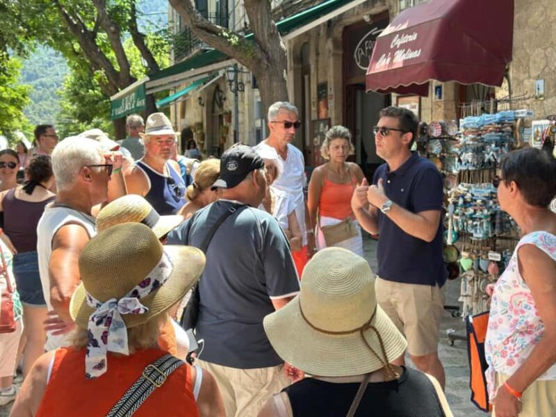Mallorca: Full-Day Scenic Villages Tour with local Lunch - An In-Depth Look at the Mallorca Villages Tour