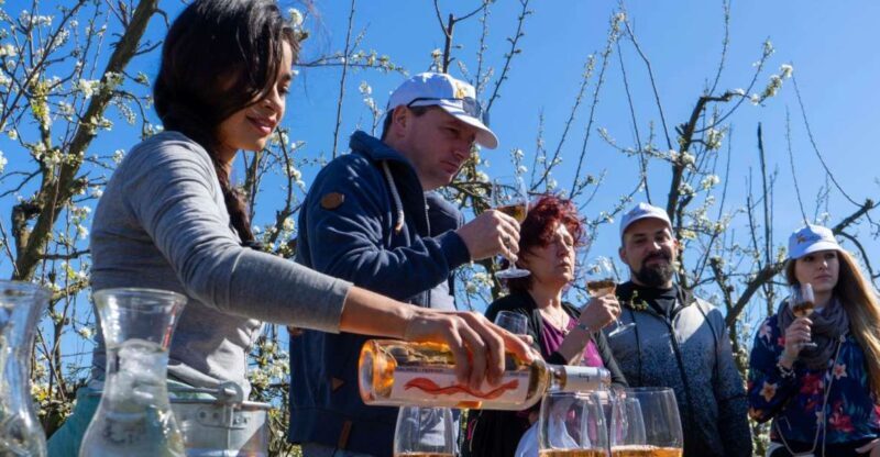 Mallorca: Full-Day Winery Small Group Tour - Why This Tour Stands Out