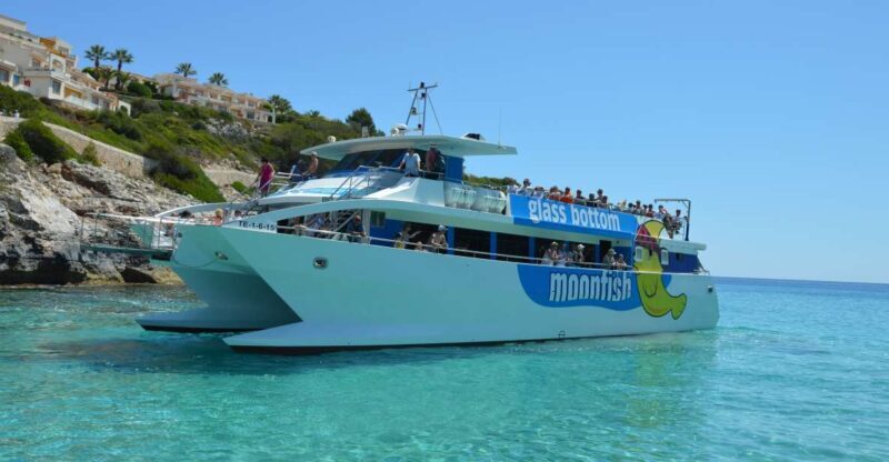 Mallorca: Glass-Bottom Catamaran Along the East Coast - The Experience: What You Can Expect