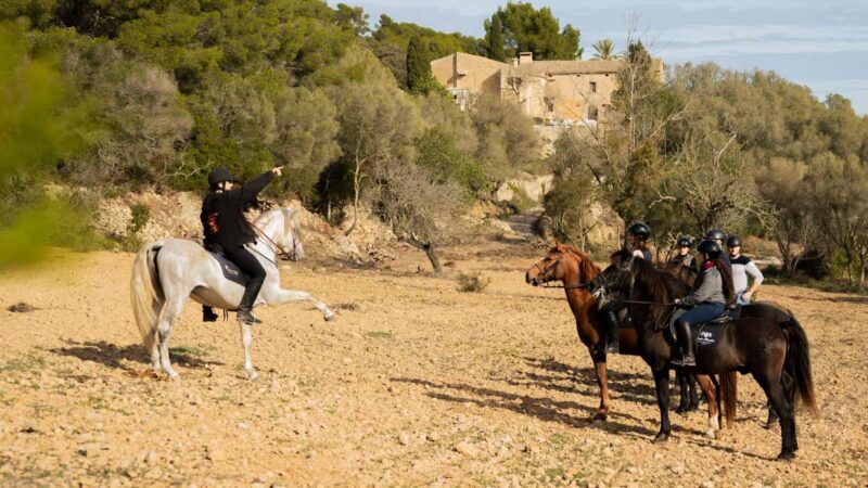 Mallorca: Guided Horseriding Tour of Randa Valley - Engaging with the Horses