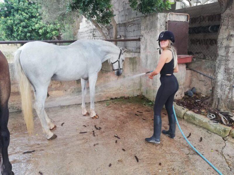 Mallorca: Guided Horseriding Tour of Randa Valley - The Experience Beyond Riding
