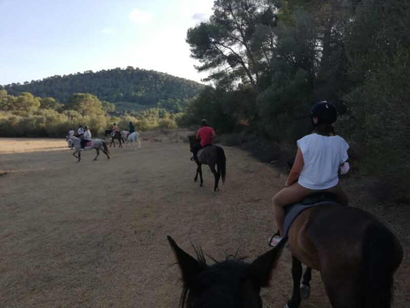 Mallorca: Guided Horseriding Tour of Randa Valley - Practical Details and Value