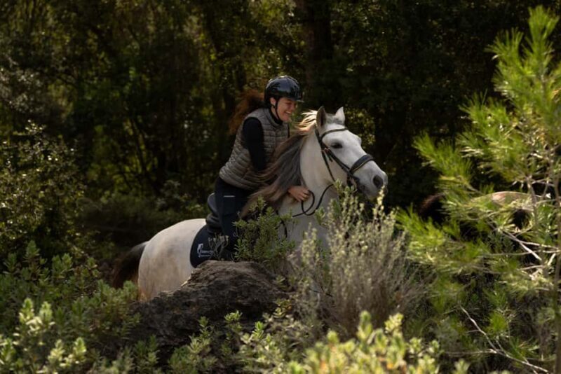 Mallorca: Guided Horseriding Tour of Randa Valley - Why This Experience Shines