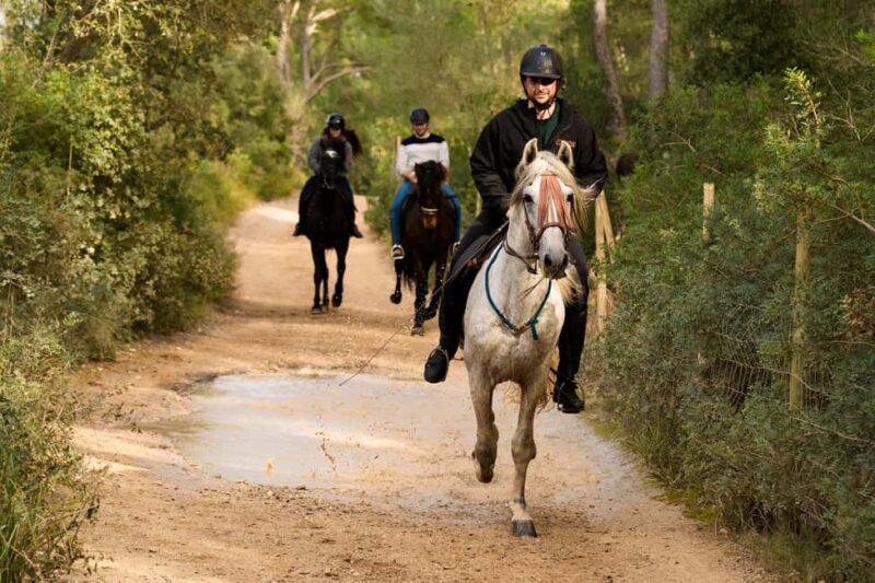 Mallorca: Guided Horseriding Tour of Randa Valley - Who Will Appreciate This Tour?