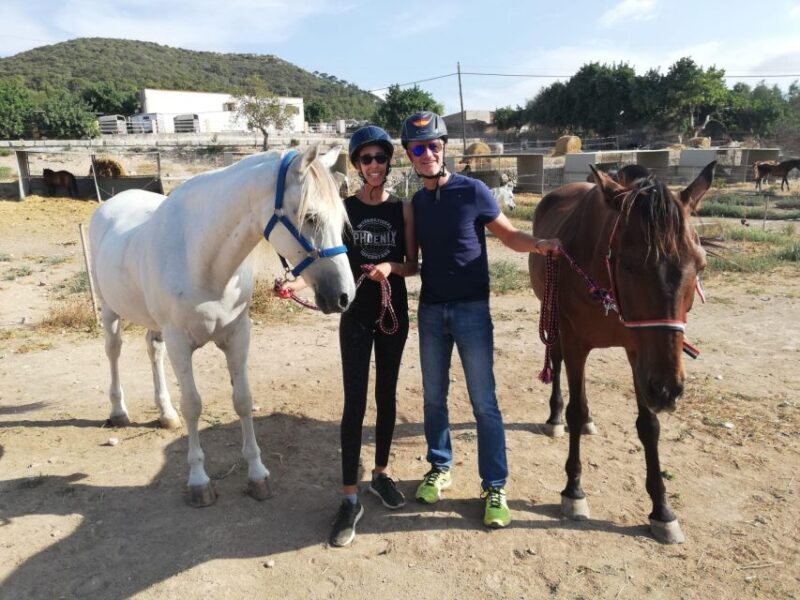 Mallorca: Guided Horseriding Tour of Randa Valley - The Sum Up