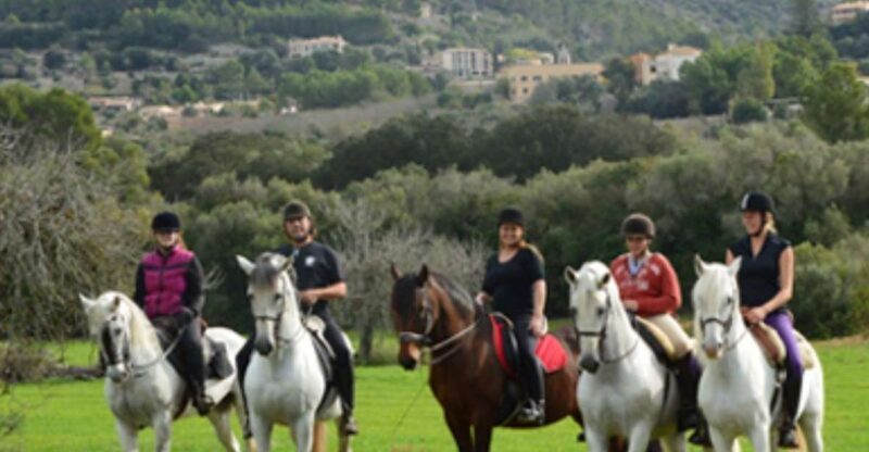 Mallorca: Guided Horseriding Tour of Randa Valley - Exploring Mallorca’s Randa Valley on Horseback: An Honest Review