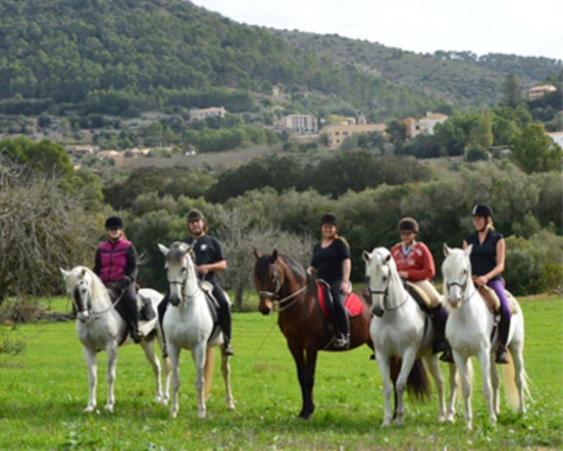 Mallorca: Guided Horseriding Tour of Randa Valley - A Closer Look at the Randa Valley Horse Riding Tour