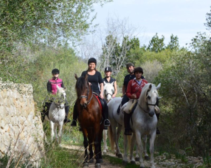 Mallorca: Guided Horseriding Tour of Randa Valley - FAQ